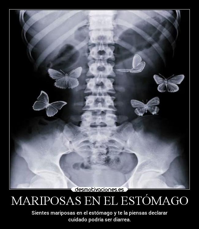 Imágenes y Carteles de GRACIOSAS Pag. 272 | Desmotivaciones