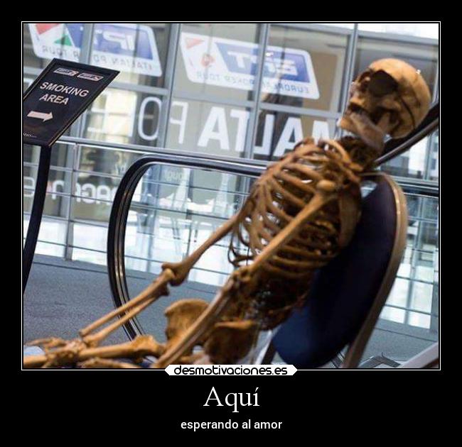 Imágenes y Carteles de GRACIOSAS Pag. 318 | Desmotivaciones