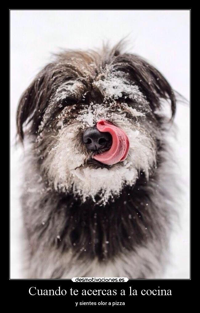 Imágenes y Carteles de GRACIOSAS Pag. 291 | Desmotivaciones