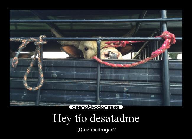 Imágenes y Carteles de RODEO | Desmotivaciones