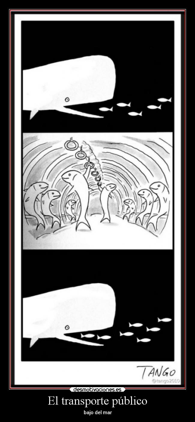 Imágenes y Carteles de GRACIOSAS Pag. 340 | Desmotivaciones