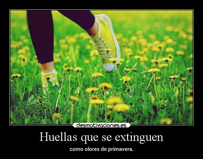 Imágenes y Carteles de HUELLAS | Desmotivaciones