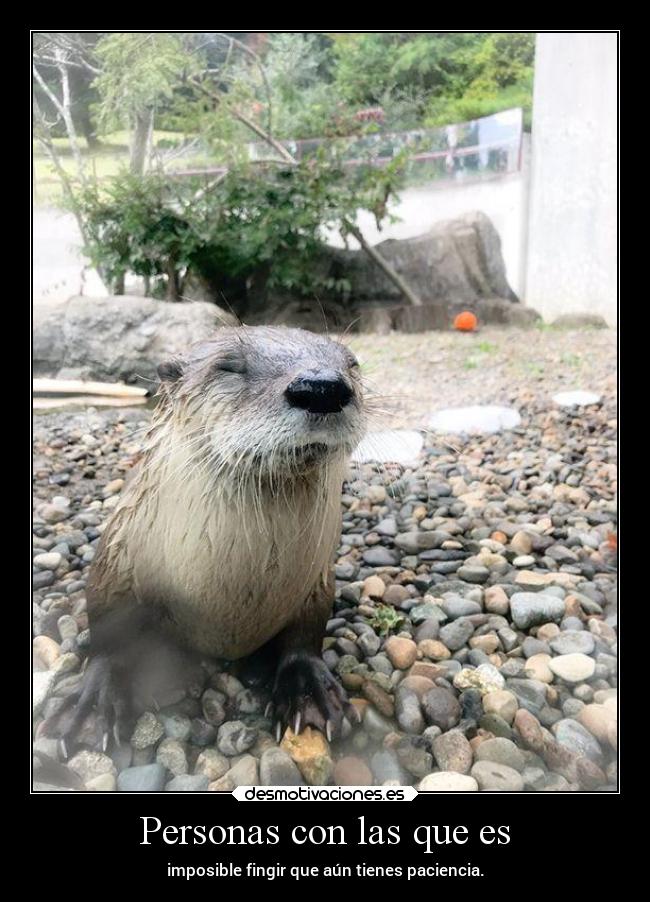 Imágenes y Carteles de GRACIOSAS Pag. 294 | Desmotivaciones