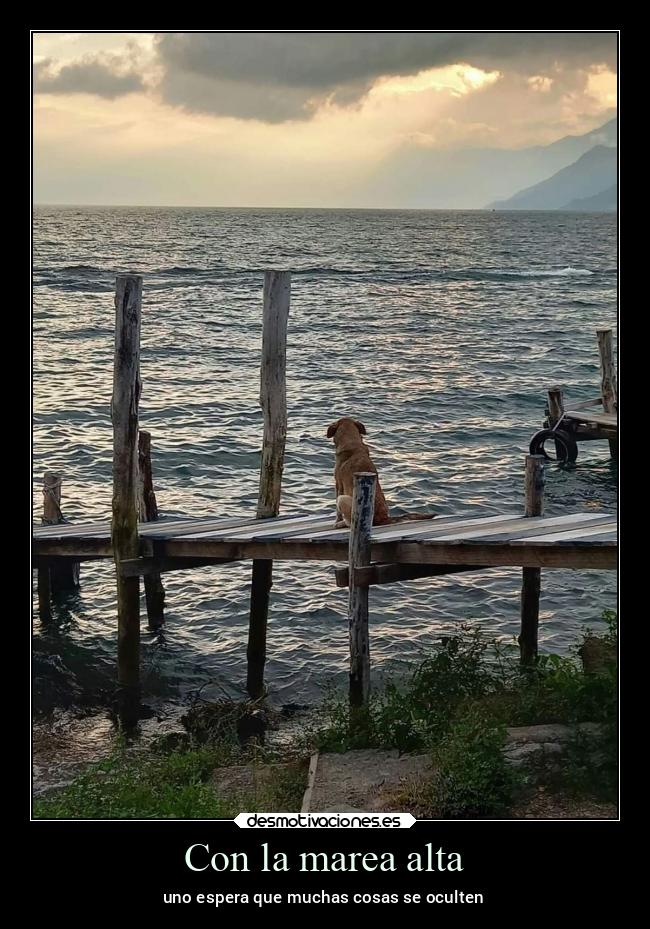 Imágenes y Carteles de GRACIOSAS Pag. 291 | Desmotivaciones