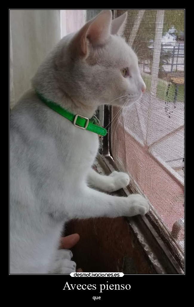 Imágenes y Carteles de GRACIOSAS Pag. 10 | Desmotivaciones