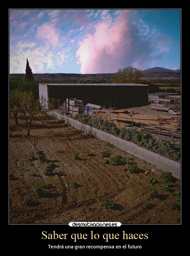 Carteles nuevos Pag. 13 | Desmotivaciones